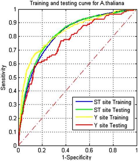 Receiver Operating Characteristic Curves For Training And Testing On