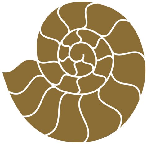 Fossil Walks With Hugh Millers Birthplace Cottage And Museum