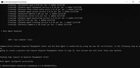 Learn How To Start A Standalone Runtime Server In Mule