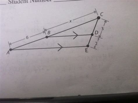 Solved Solve For Length X Chegg Com