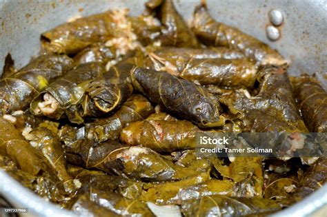 아랍 이집트의 전통 요리 Mahshi 또는 흰 쌀 양파 파슬리 딜 토마토 및 고수풀로 채워진 포장 된 포도 잎 돌마데스에 대한 스톡 사진 및 기타 이미지 Istock