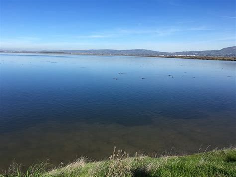 Alviso Marina County Park 2020 All You Need To Know Before You Go