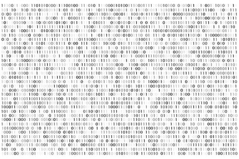 Matrice De Code Binaire Vecteur De Mots Binaires Arrière Plan Vecteur D