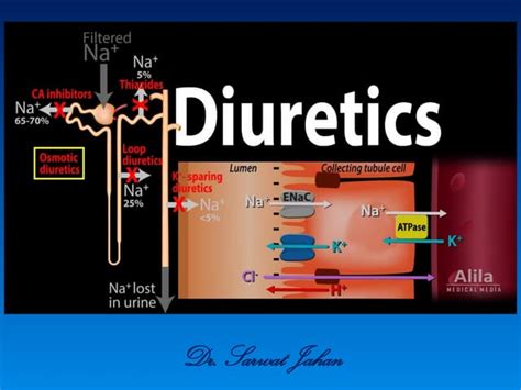Pharmacology Of Diuretics With Flow Charts Pptx
