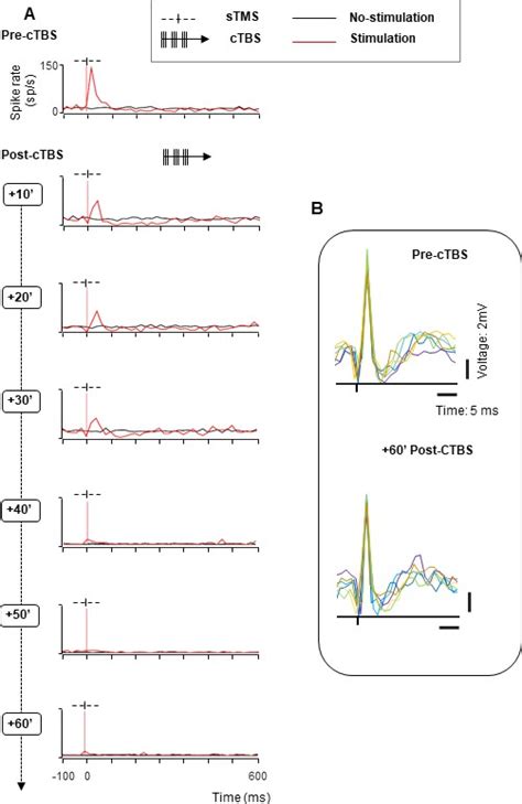 Neural Effects Of Continuous Theta Burst Stimulation In Macaque
