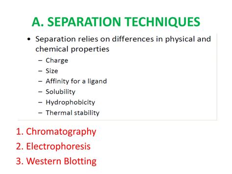 Solution Lecture On Protein Separation Techniques Studypool
