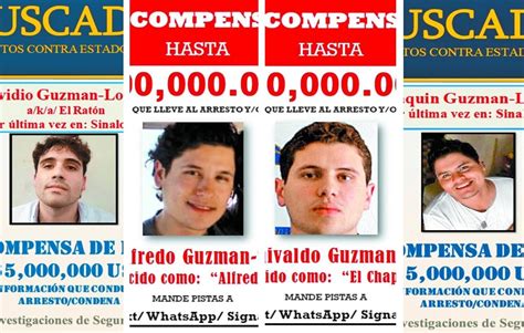 Los Chapitos Quiénes Son Y Cómo Operan En México Y Estados Unidos Anews