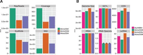 Genome Assemblies And Annotations A Barplots Showing Number Of Raw