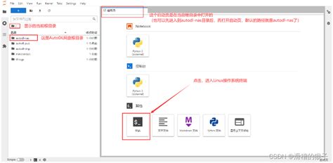 Autodl快速上手使用 Csdn博客