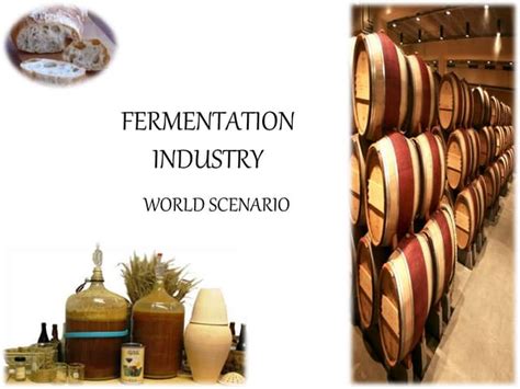 Fermentation Status Of World Pptx