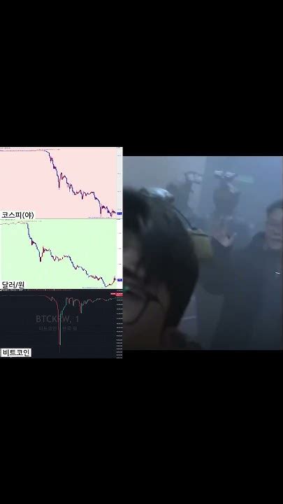 계엄령 당시 시장 반응 계엄령 윤석열 주식 투자 비트코인 폭락 Youtube