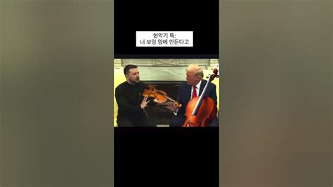 🐻💛💛💛💛 바이올린 비올라 첼로 콘트라베이스 음대 음대생 예중 예고 더블베이스 피아노 성악 작곡 지휘 레슨 클래식음악 클래식가십걸 Youtube