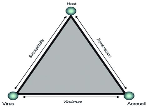 Epidemiological Triangle For The Disease Of Influenza Download Scientific Diagram