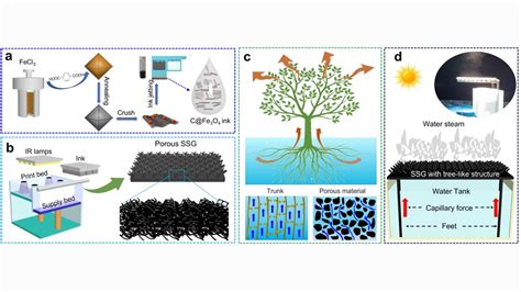 3d Printed Microstructure Forest Facilitates Solar Steam Generator