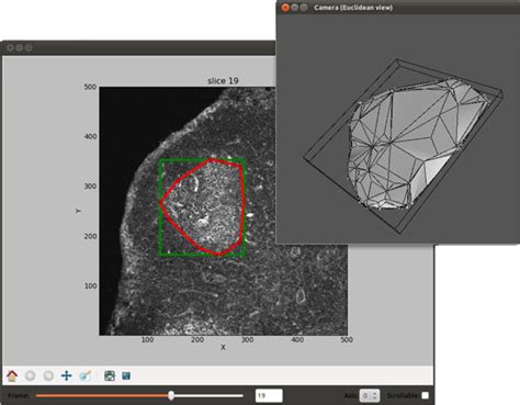 Screenshots Of The Application With The 2d3d Visualization Of Germinal