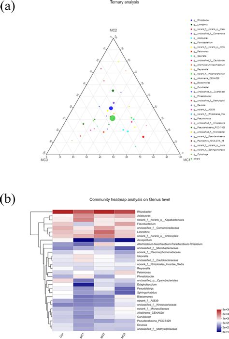 Microbial Community Analysis A Heatmap Of Genus Level In Different