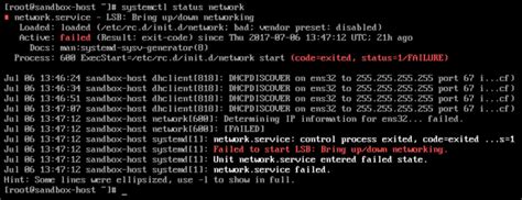Failed To Start Lsb Bring Updown Networking