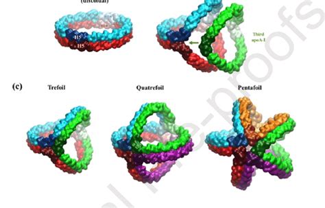 A Distribution Of Helices Across The C Terminal Region Of Lipidated Download Scientific