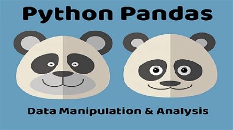 Python Pandas Data Manipulation Analysis Skillshare Student Project