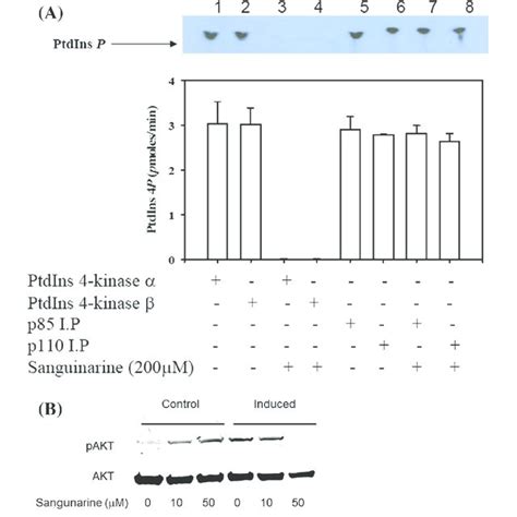 Structure Of Sanguinarine Download Scientific Diagram