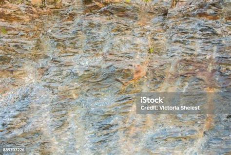 가까이 추상 자연 돌 바위 텍스처 컷의 세부의 자연 공원에서 산 꼭대기 풍 화 화강암 절벽 부식의 횡단면 텍스트에 대 한 공간을 복사 합니다 0명에 대한 스톡 사진 및 기타