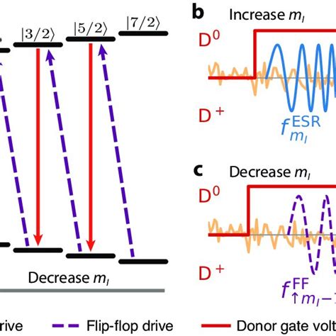 Fig S7 Nuclear Spin Initialization Scheme Using Flip Flop