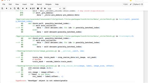 Typeerror Nonetype Object Is Not Subscriptable Pytorch Forums