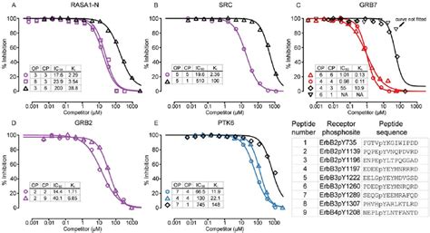 Competitive Inhibition Binding Curves Of Protein Peptide Interactions