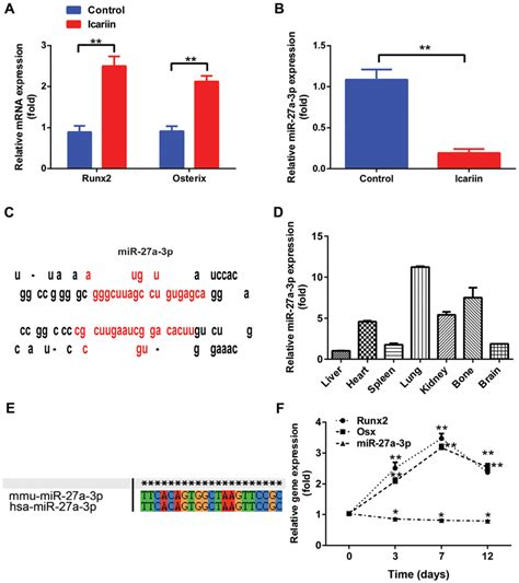 Mir 27a 3p Expression Is Downregulated During Osteogenic Download