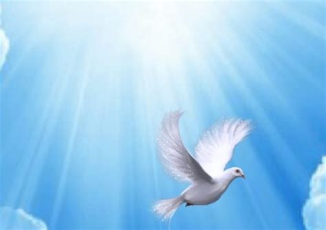 Создать мем с прощенным воскресеньем крещение стихи Self Therapy Картинки Meme