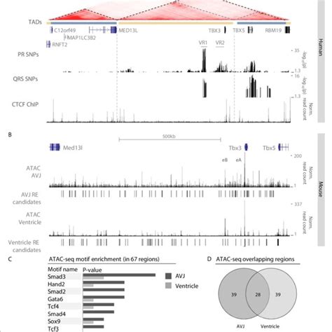 validation and characterization of starr seq datasets a overview of