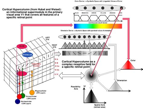 Cortical Column As A Semiotic Device Download Scientific Diagram