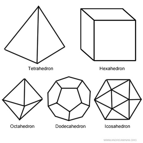 Regular And Irregular Polyhedra Andrea Minini