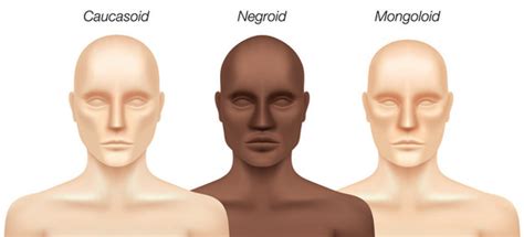 Mongoloid Race Vector Images 31