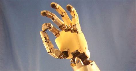 Maynard Pest Control Hickory Nc Mind Controlled Prosthetic Arms