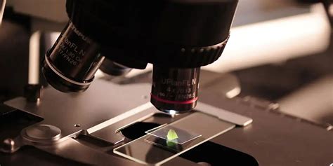 Bioprocess Optimization And Digital Bio Manufacturing Transforming The