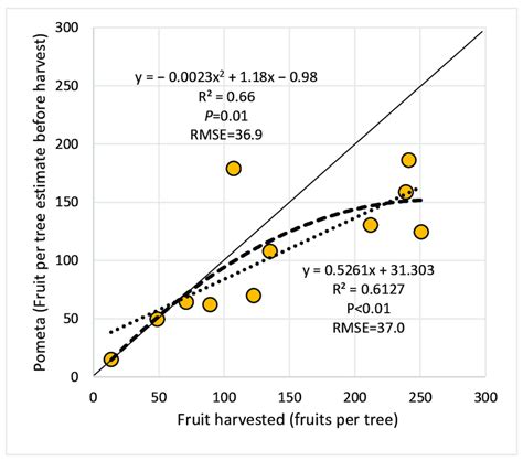 Relationship Between Estimated Fruit Per Tree With The Pometa Vision
