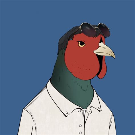 Oracle Script Birds Nft Calendar