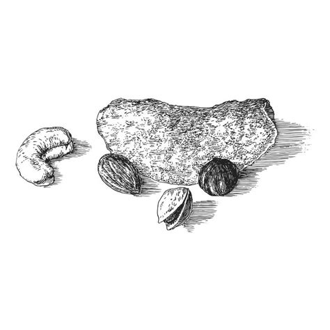 Snacks Hand Drawn Vintage Illustration In Vector Stock Illustration Illustration Of Icon