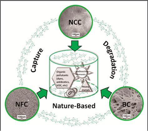 Figure 12 From A Review Of Nanocellulose Modification And Compatibility