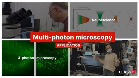 Class 5 Photonics On Linkedin Multi Photon Microscopy Class 5 Photonics