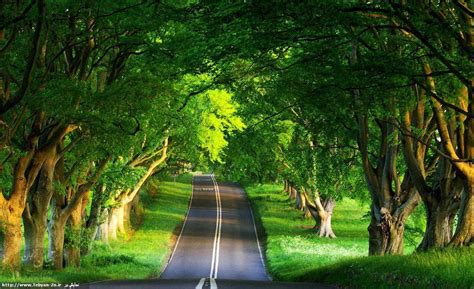 حسین رنجبر رباطی