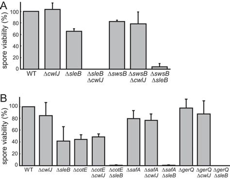 Validation Of Hits From The Tn Seq Screen Spore Viability Of Mutant