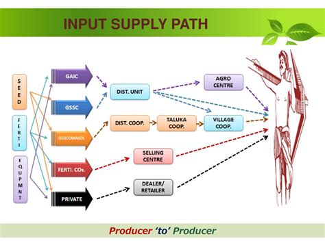 PPT Scientific Input Management PowerPoint Presentation Free Download ID