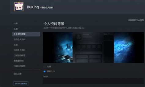 【pc游戏】steam主页美化，手把手教学！！ 3楼猫