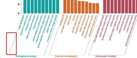 R语言ggplot2画柱形图展示go富集分析结果—给坐标轴文本添加框线 腾讯云开发者社区 腾讯云