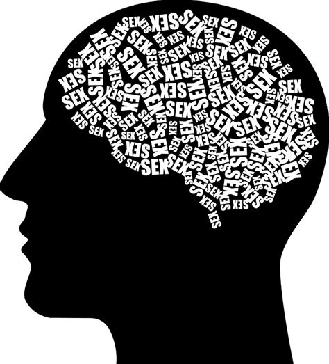 Cranium Free Vector Clipart Images On