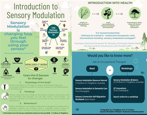 Sensory Modulation Discrimination Visual Motor Output Brain