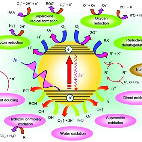 Possible Reaction Pathways Arising From The Excitation Of Download