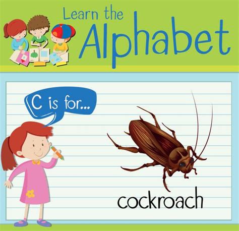 Cute Cockroach Background Illustrations Royalty Free Vector Graphics